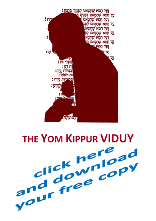 english - le vidouy de Yom Kippour